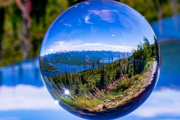 Glass Ball Photography | Photography Reference