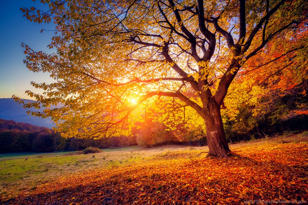 Outdoor Photography | Photography Reference